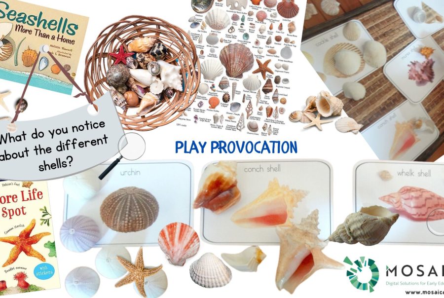 MOSAIC | Digital Solutions for Early Education